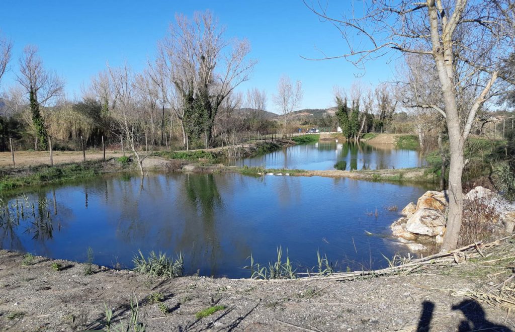 Borrow Pits – Green Roads for Water