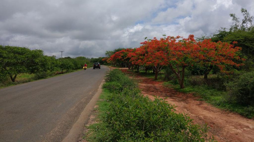 Green Roads for Water – Integrating road and water development