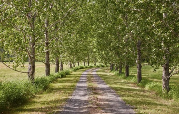 Stories – Green Roads for Water